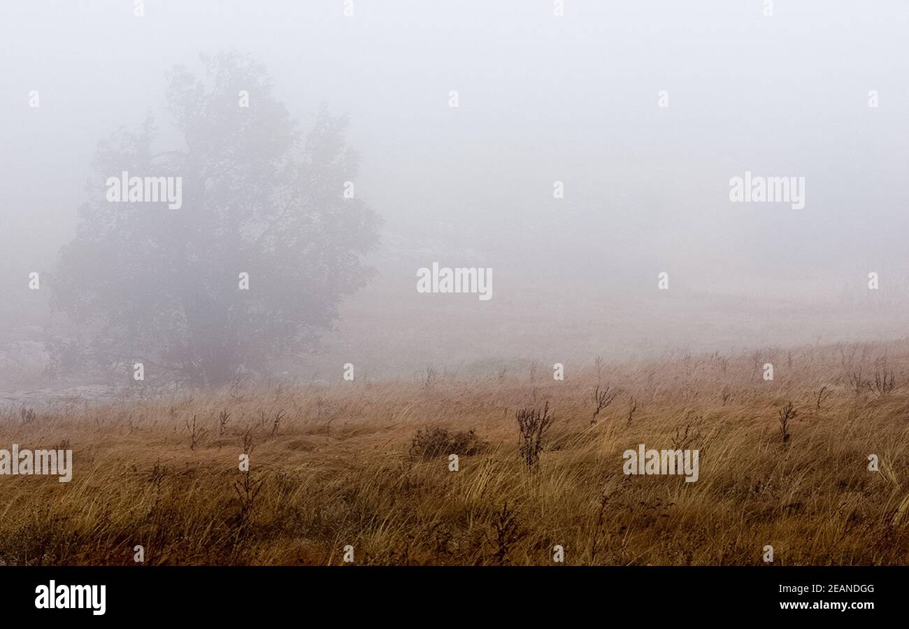 Fog over field of dry grass. Crimean landscape Stock Photo - Alamy