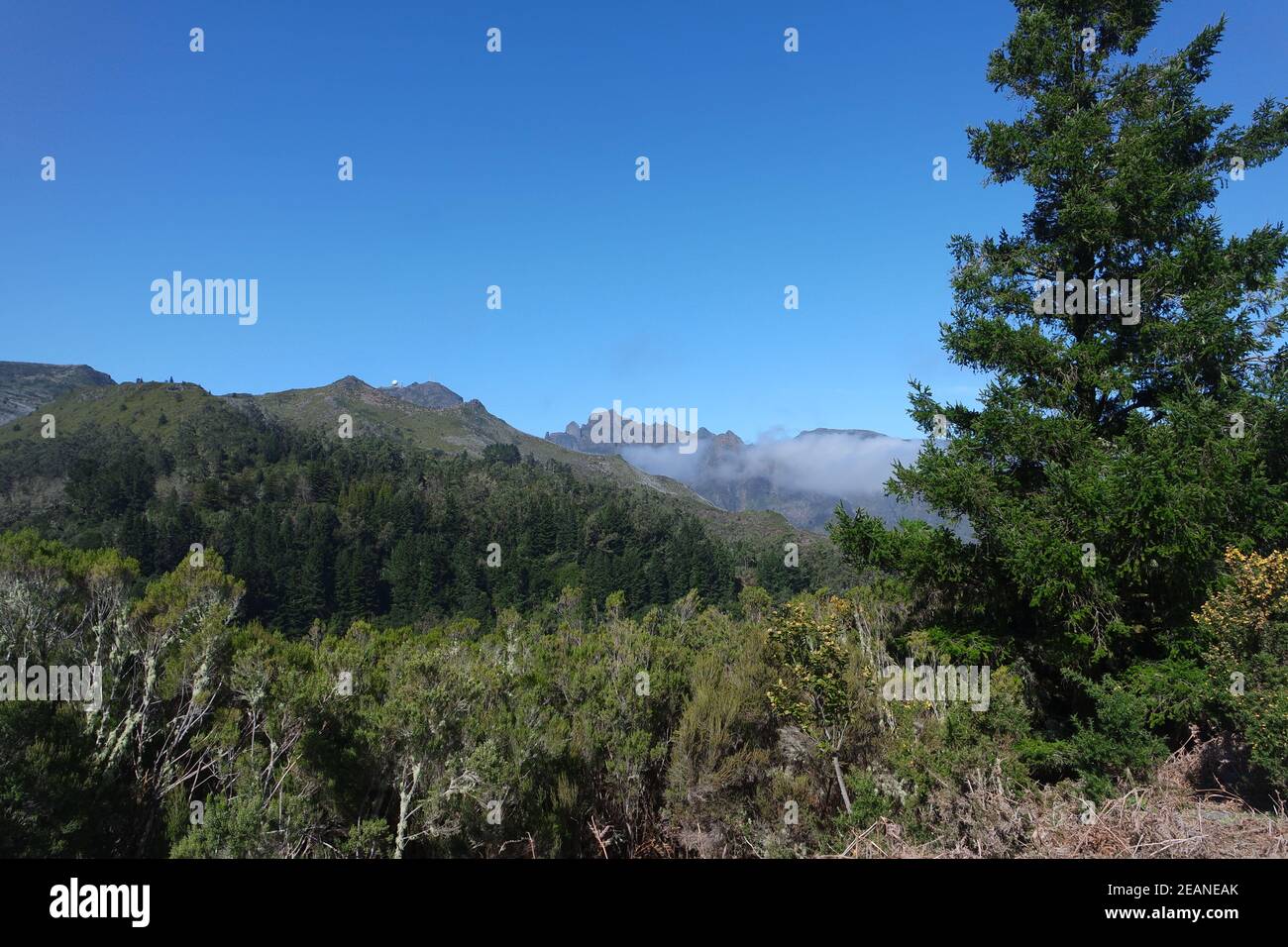 Madeira, view from the Feiteiras plateau Stock Photo - Alamy