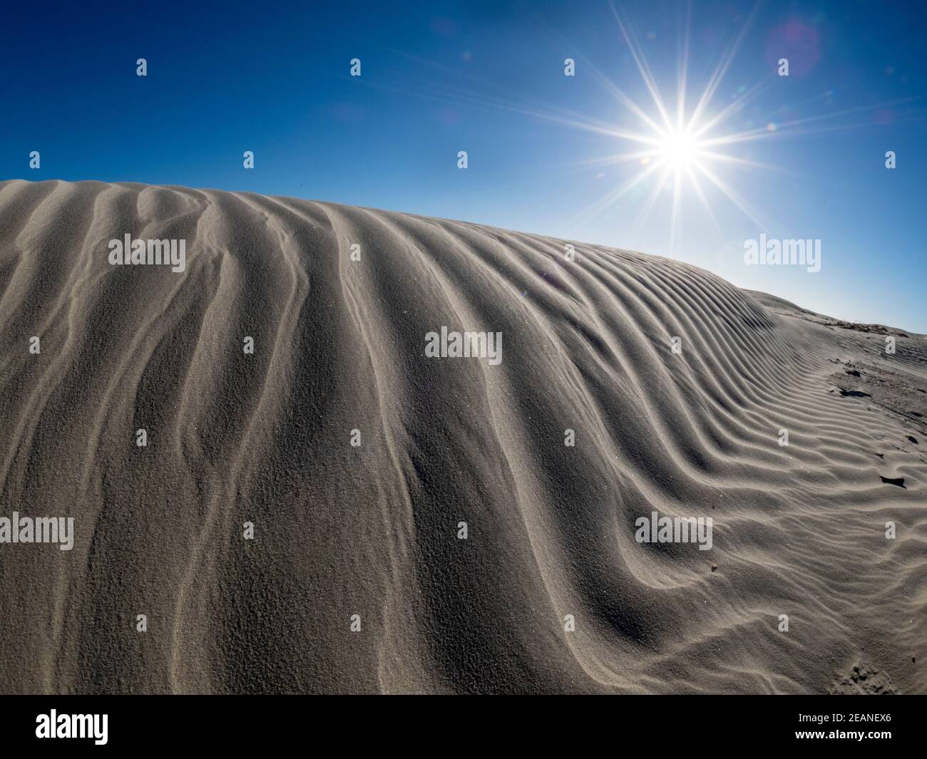 Wind swept barkhan sand dunes on the barrier island of Isla Magdalena ...
