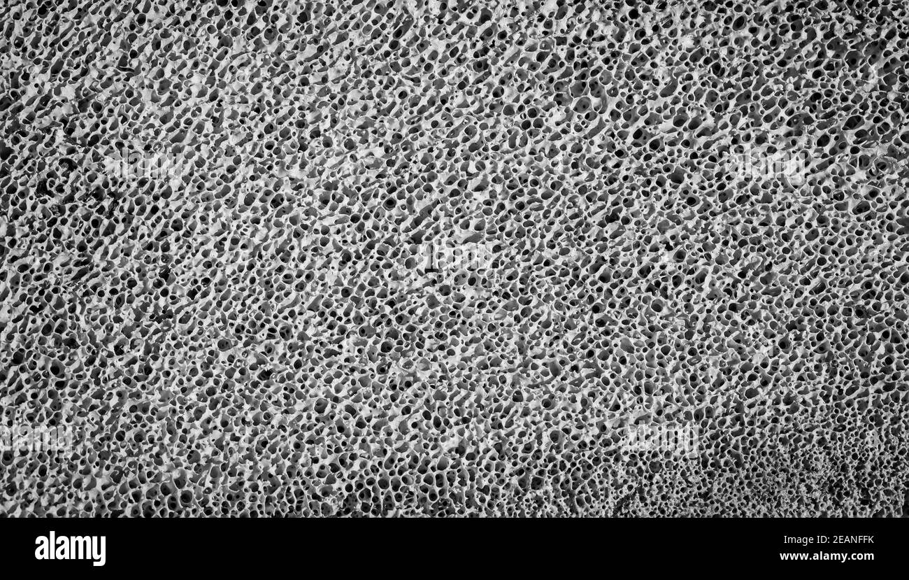 Closeup body structure Black and White Stock Photos & Images - Alamy