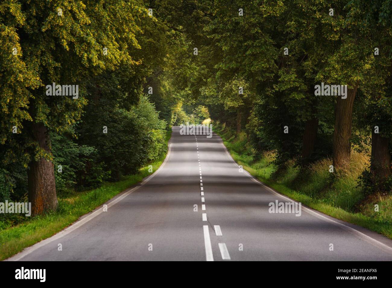 Central Grass Plot High Resolution Stock Photography and Images - Alamy