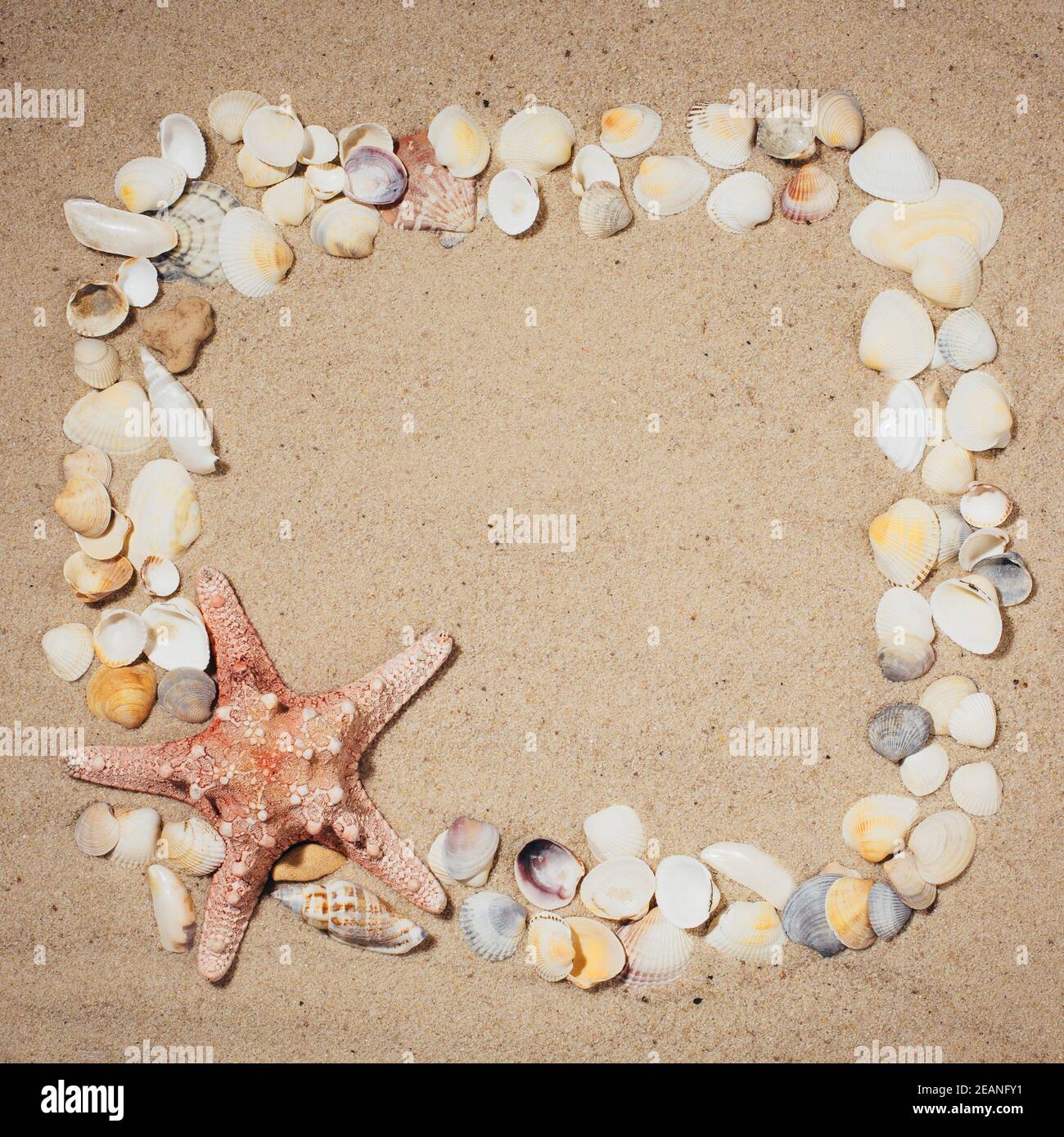 Seashells, starfish and sea pebbles frame on beach sand background ...