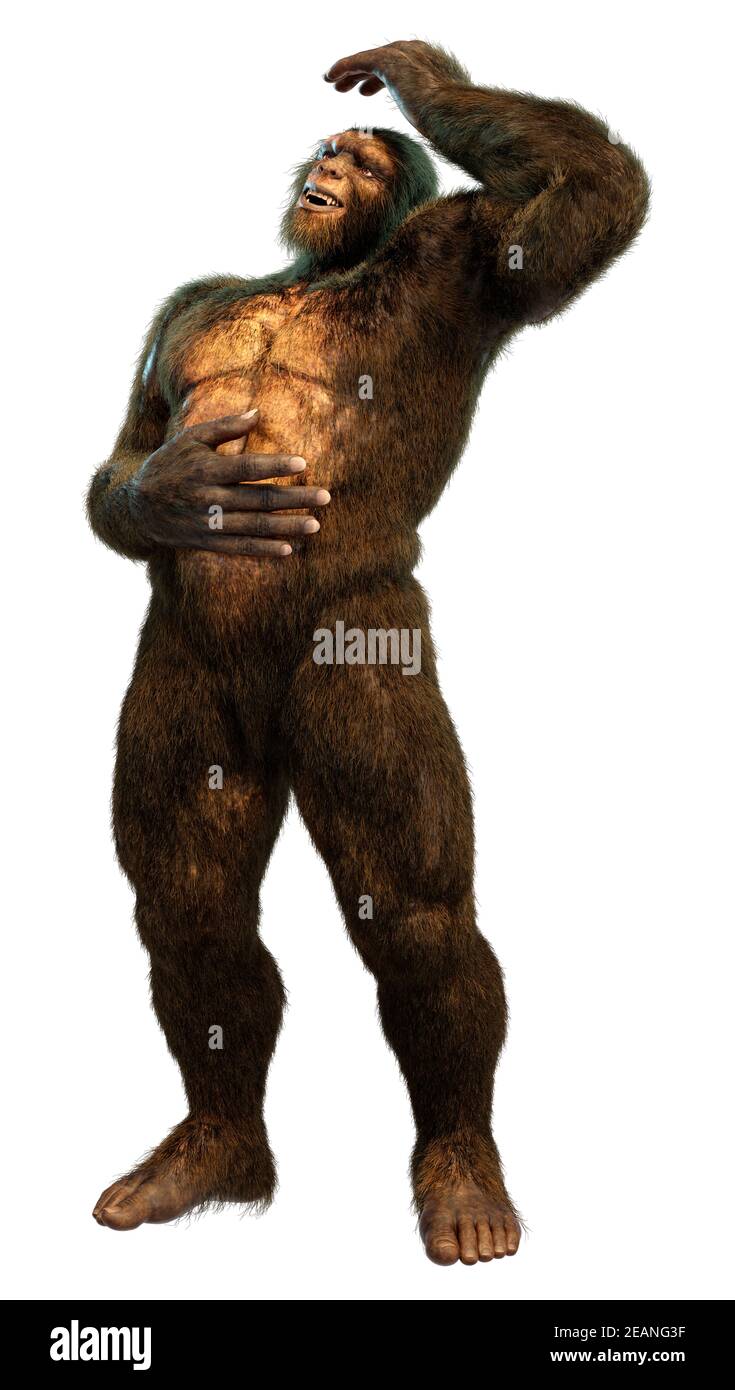 3D Rendering Sasquatch on White Stock Photo - Alamy