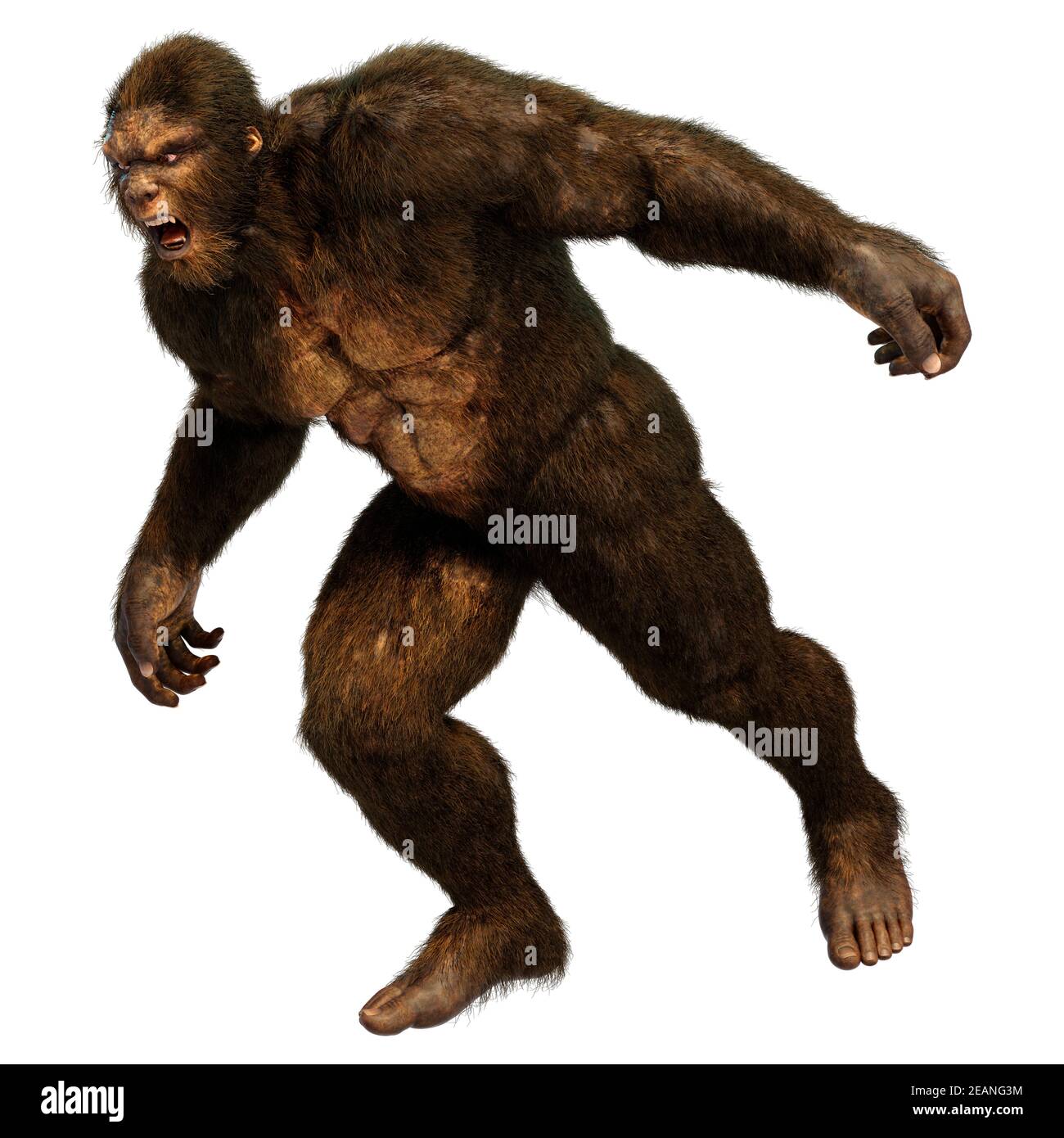 3D Rendering Sasquatch on White Stock Photo - Alamy