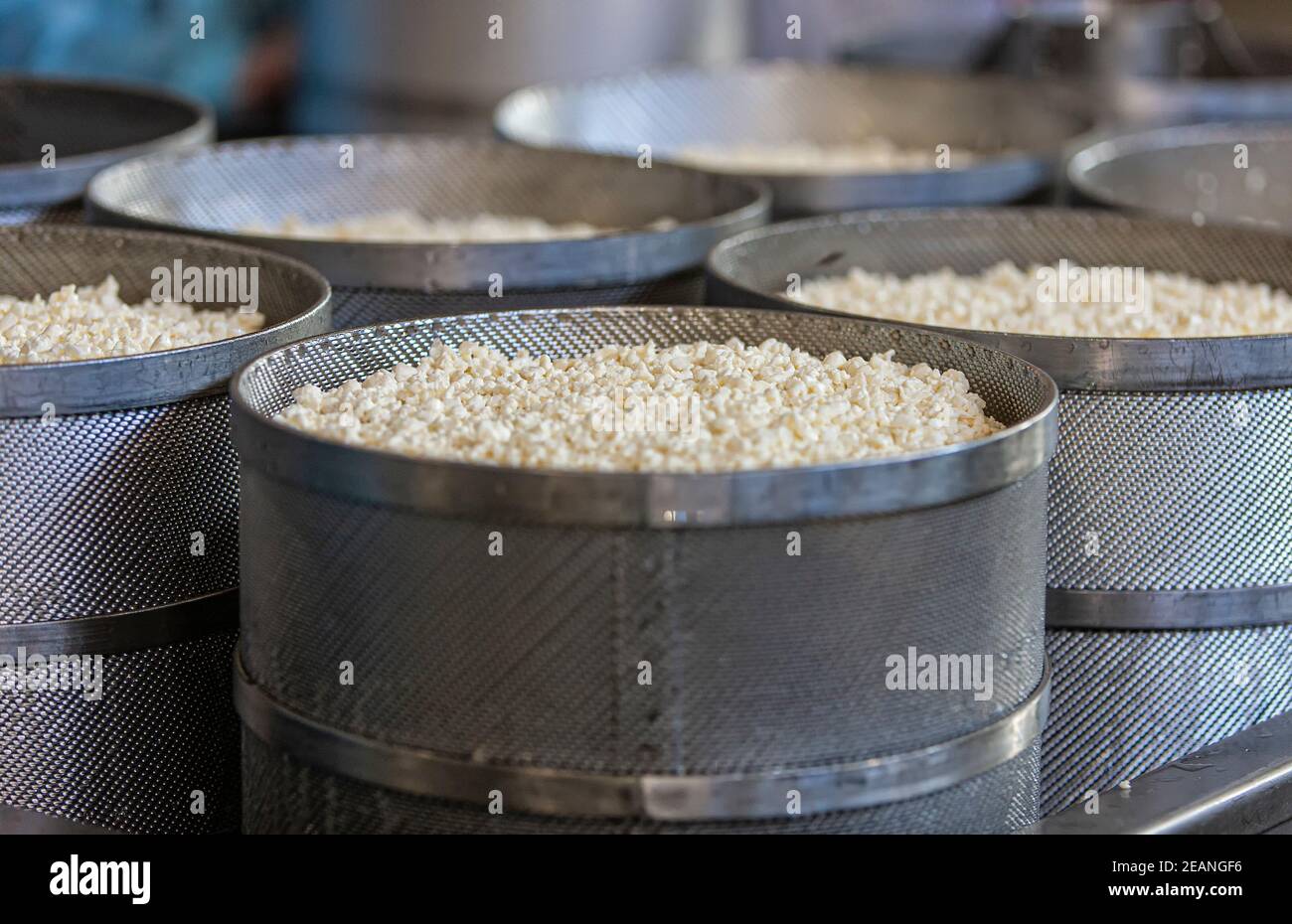 Making delicious cheese at a cheese factory. Selective focus Stock ...
