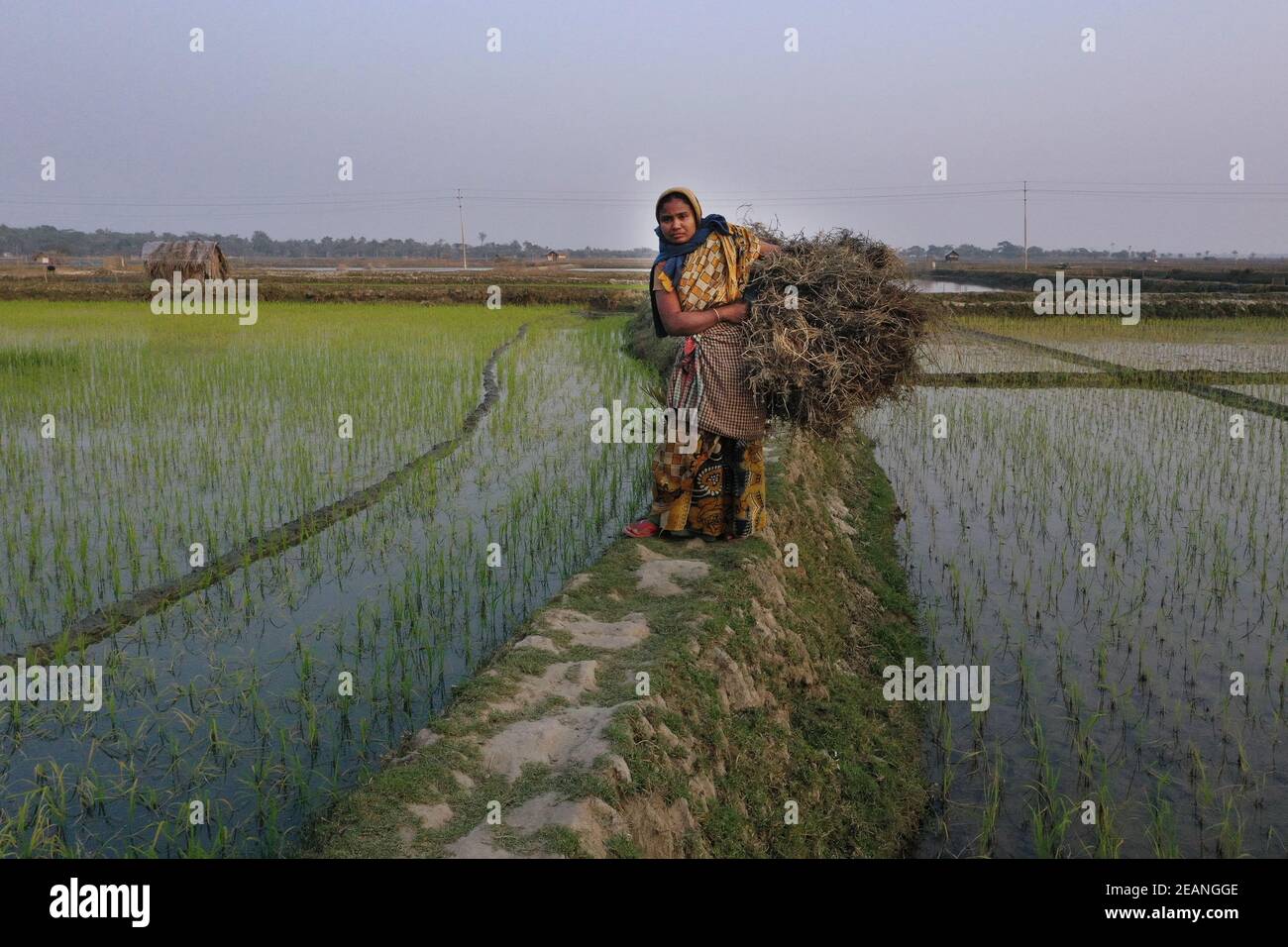 Khulna, Bangladesh - February 04, 2021: Asma Begum from the coastal ...