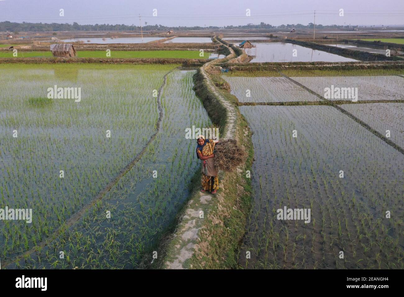 Khulna, Bangladesh - February 04, 2021: Asma Begum from the coastal ...