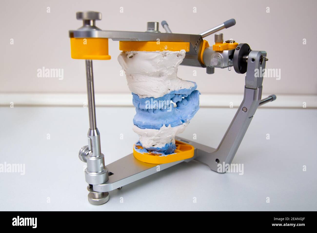 Articulatory dental equipment for braces, with a prosthetic jaw Stock ...