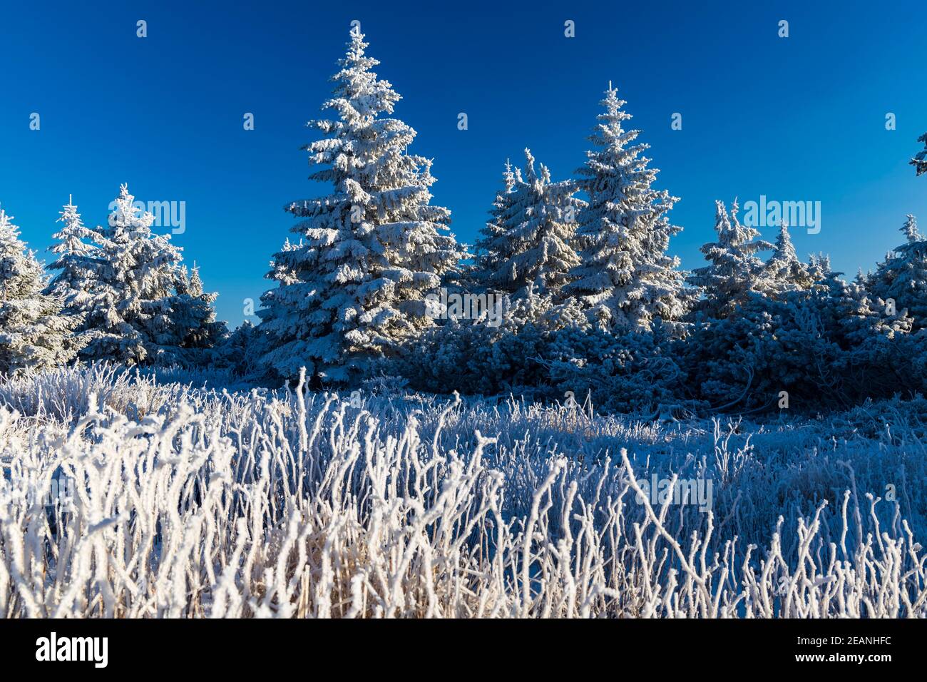 Winter landscape near Velka Destna, Orlicke mountains, Eastern Bohemia ...