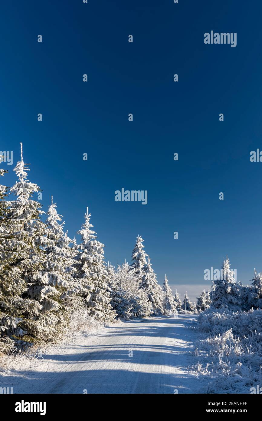 Winter landscape near Velka Destna, Orlicke mountains, Eastern Bohemia ...