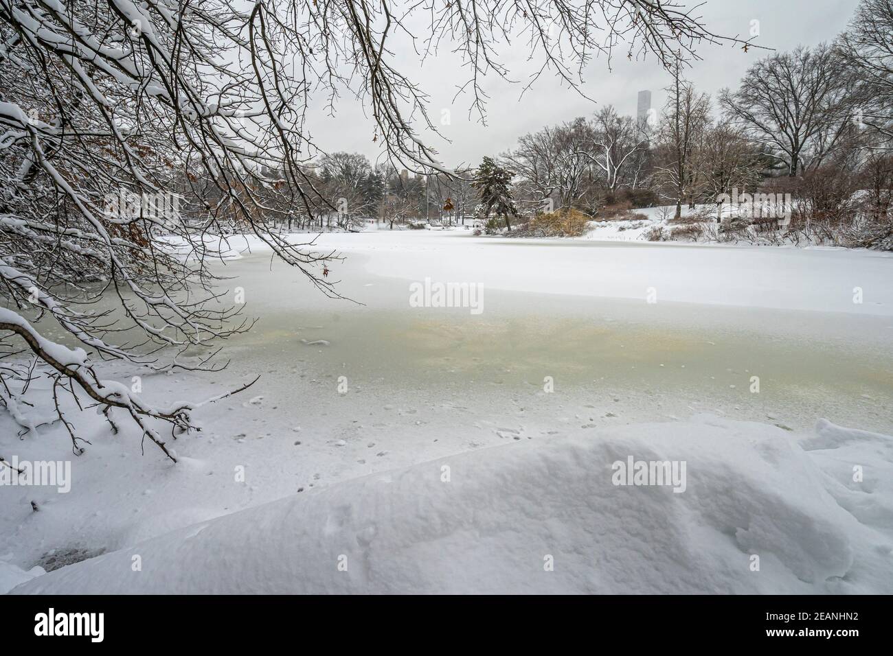 Central Park in winter after snow storm Stock Photo - Alamy