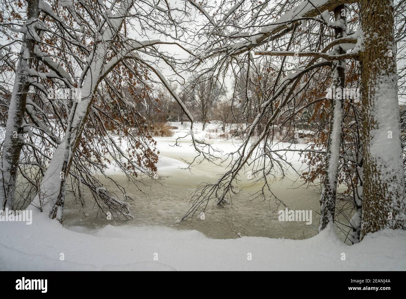 Central Park in winter after snow storm Stock Photo - Alamy
