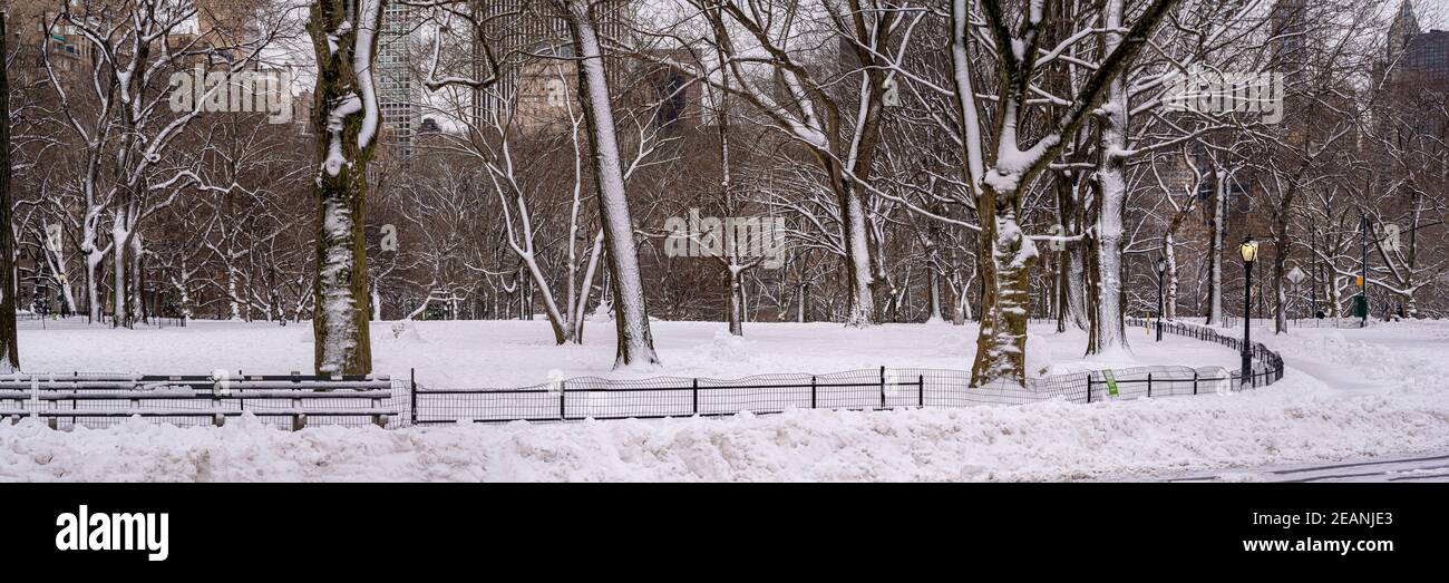 Central Park in winter after snow storm Stock Photo - Alamy