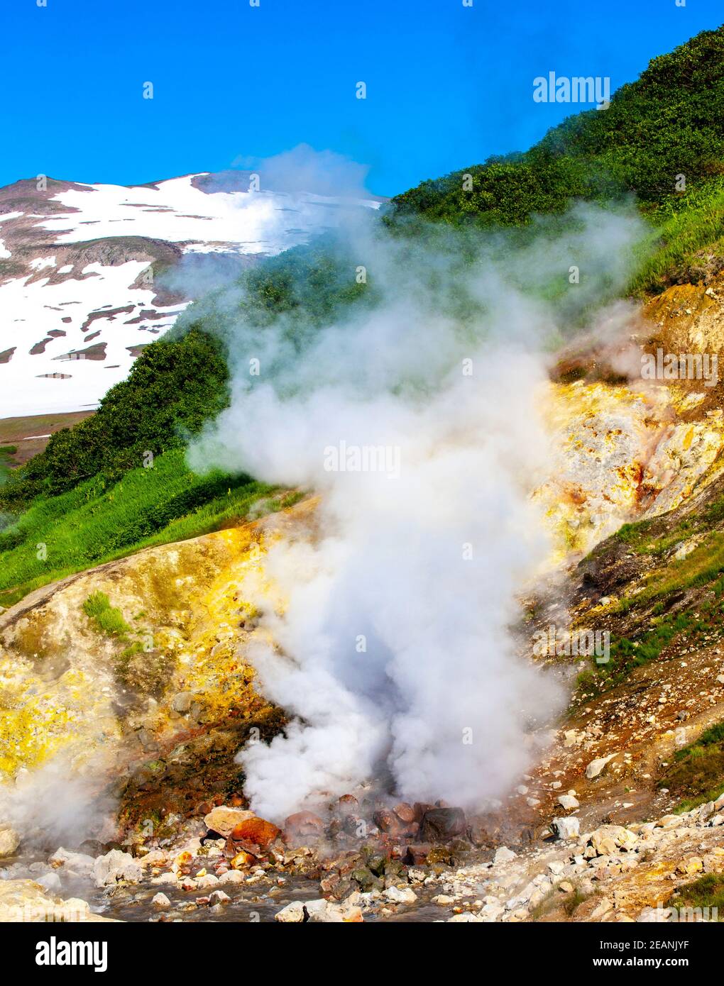 Geyser valley in miniature near Mutnovsky volcano in Kamchatka ...
