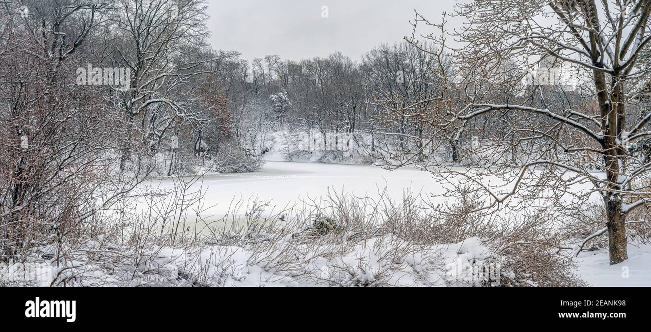 Central Park in winter after snow storm Stock Photo - Alamy