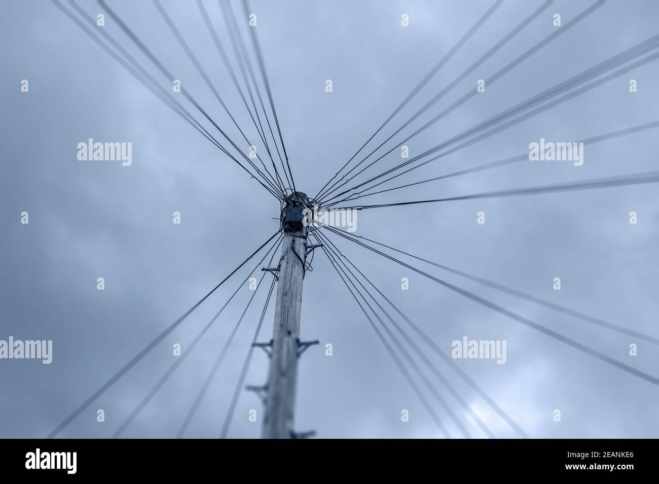 Fanning out hi-res stock photography and images - Alamy
