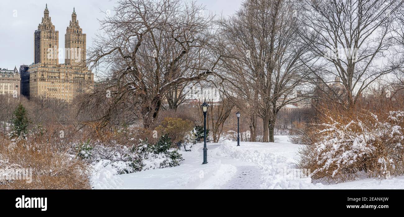 Central Park in winter after snow storm Stock Photo - Alamy