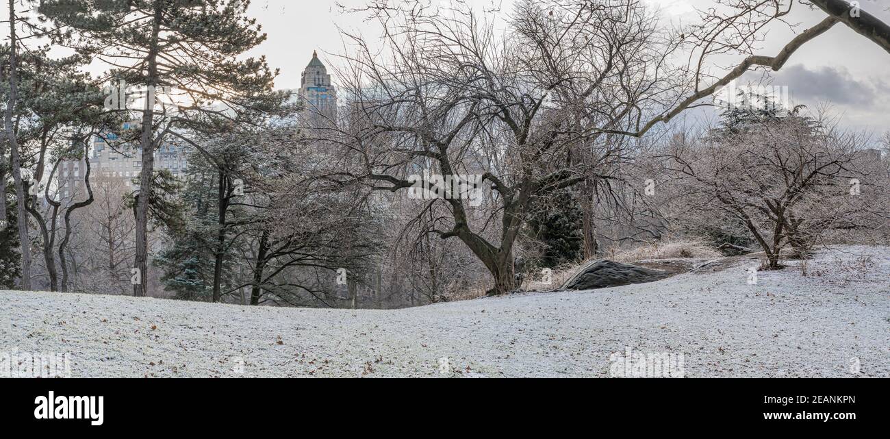 Central Park in winter after snow storm Stock Photo - Alamy