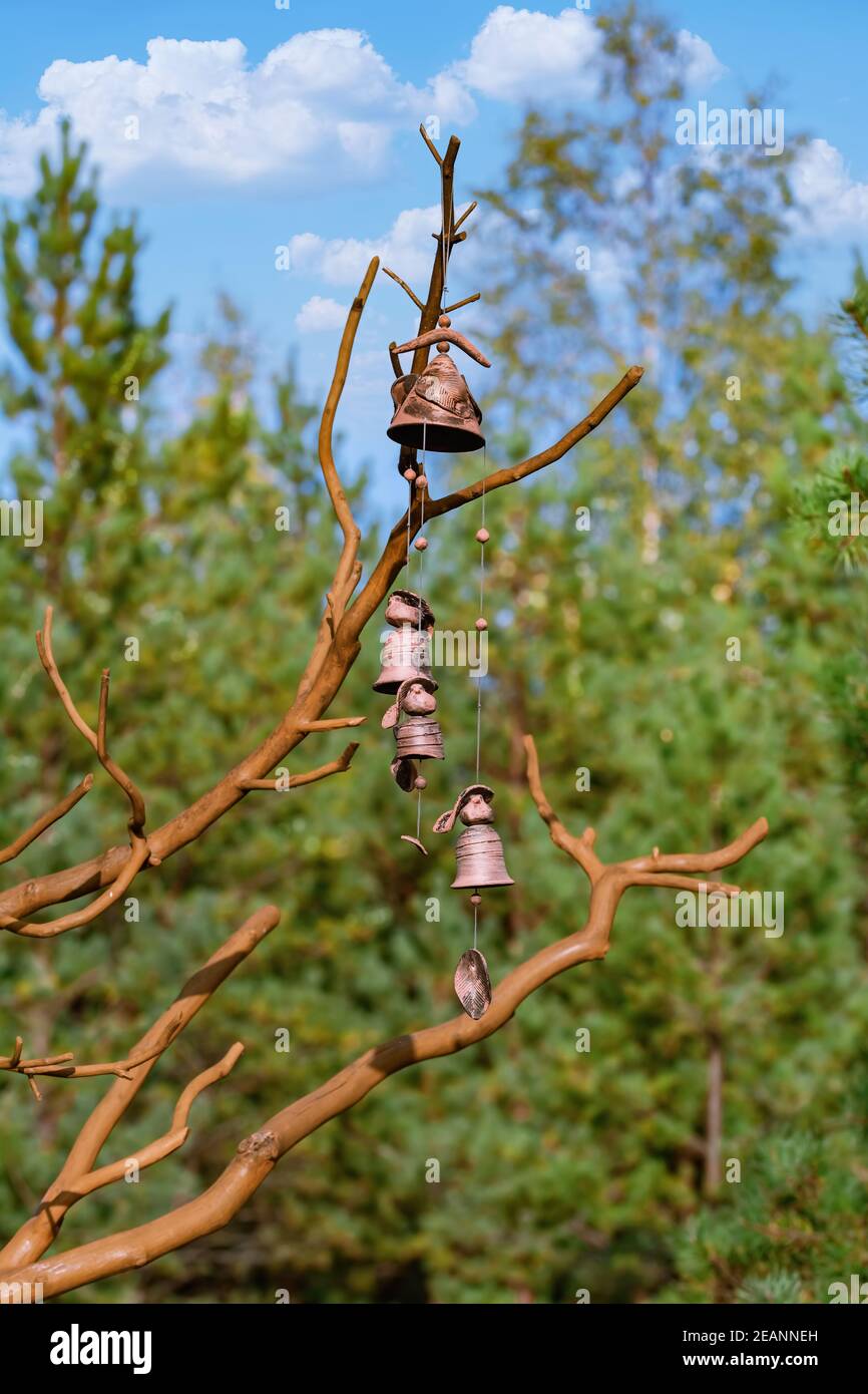 Tree bough hi-res stock photography and images - Alamy
