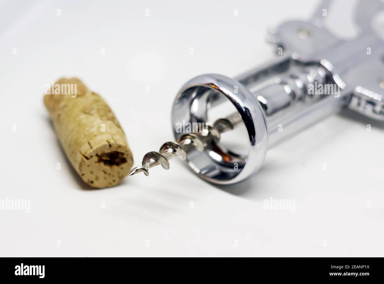 Perforated wing hi-res stock photography and images - Alamy