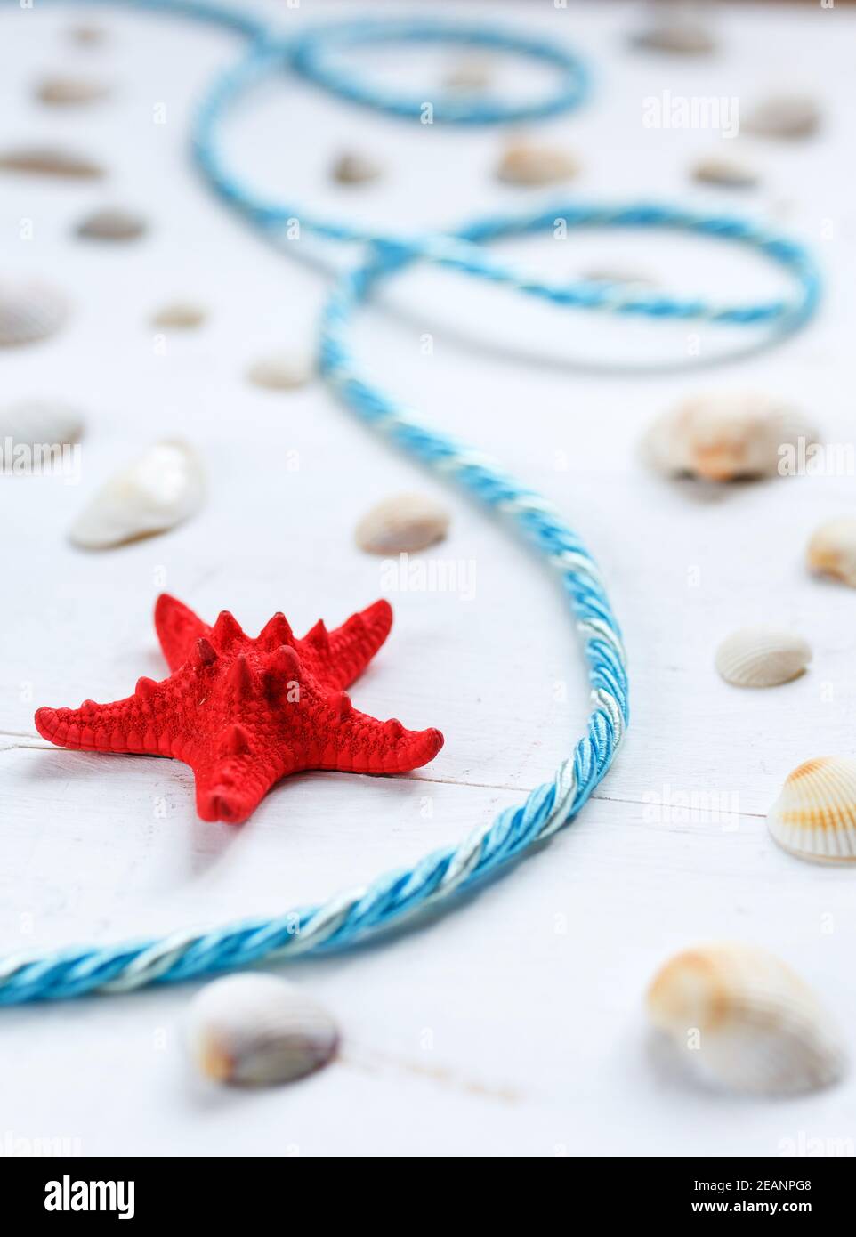 Beach holidays background. Seashells, starfishes and rope on the blue ...
