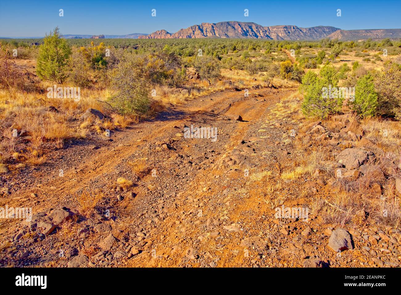 Rough road hi-res stock photography and images - Alamy