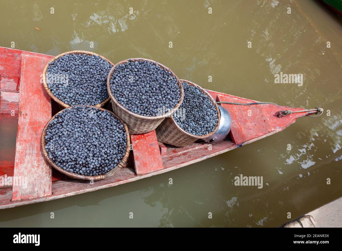 Fresh acai berries fruit in straw baskets in a red boat in Amazon ...