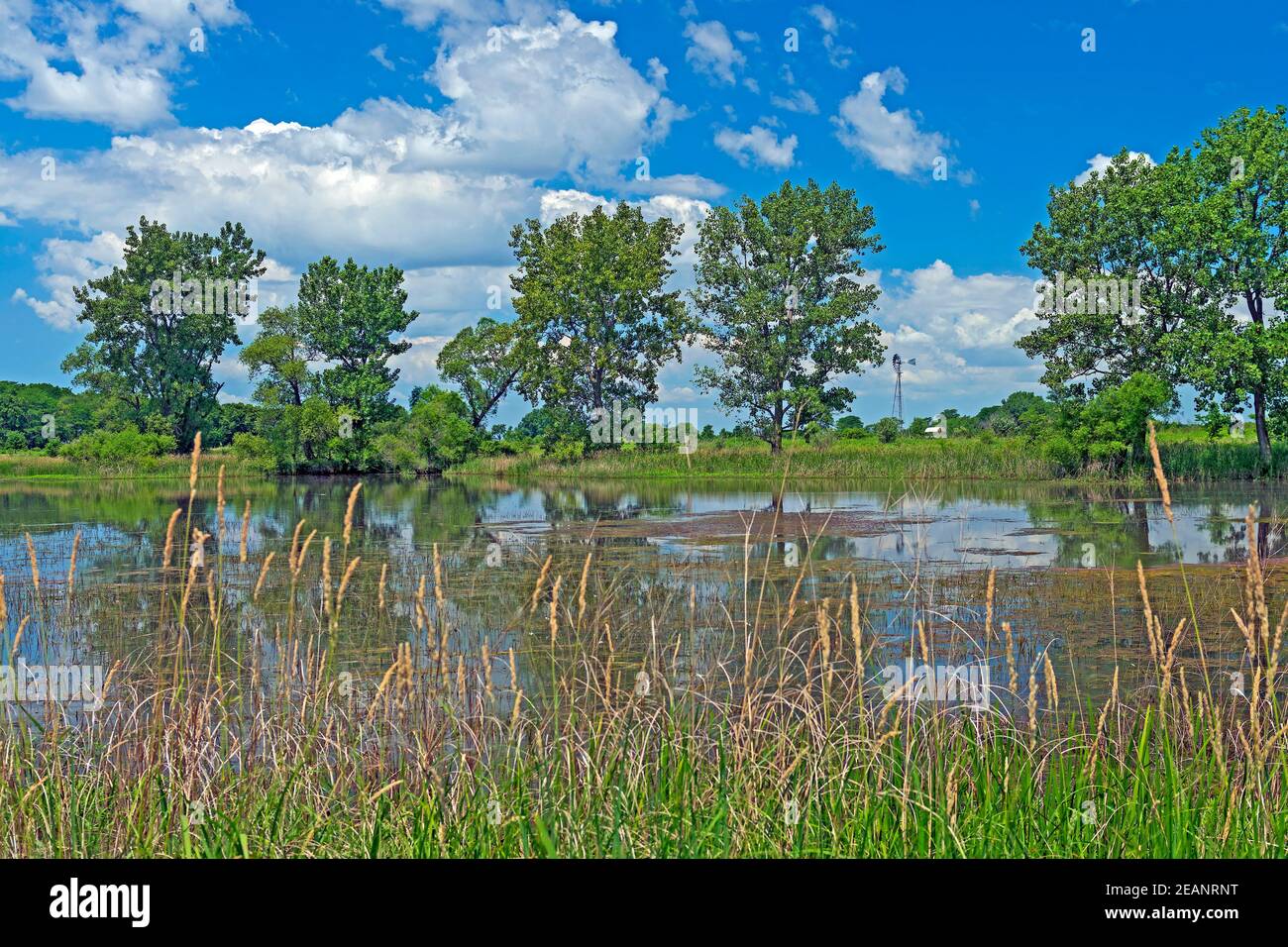 Colorful prairie hi-res stock photography and images - Alamy