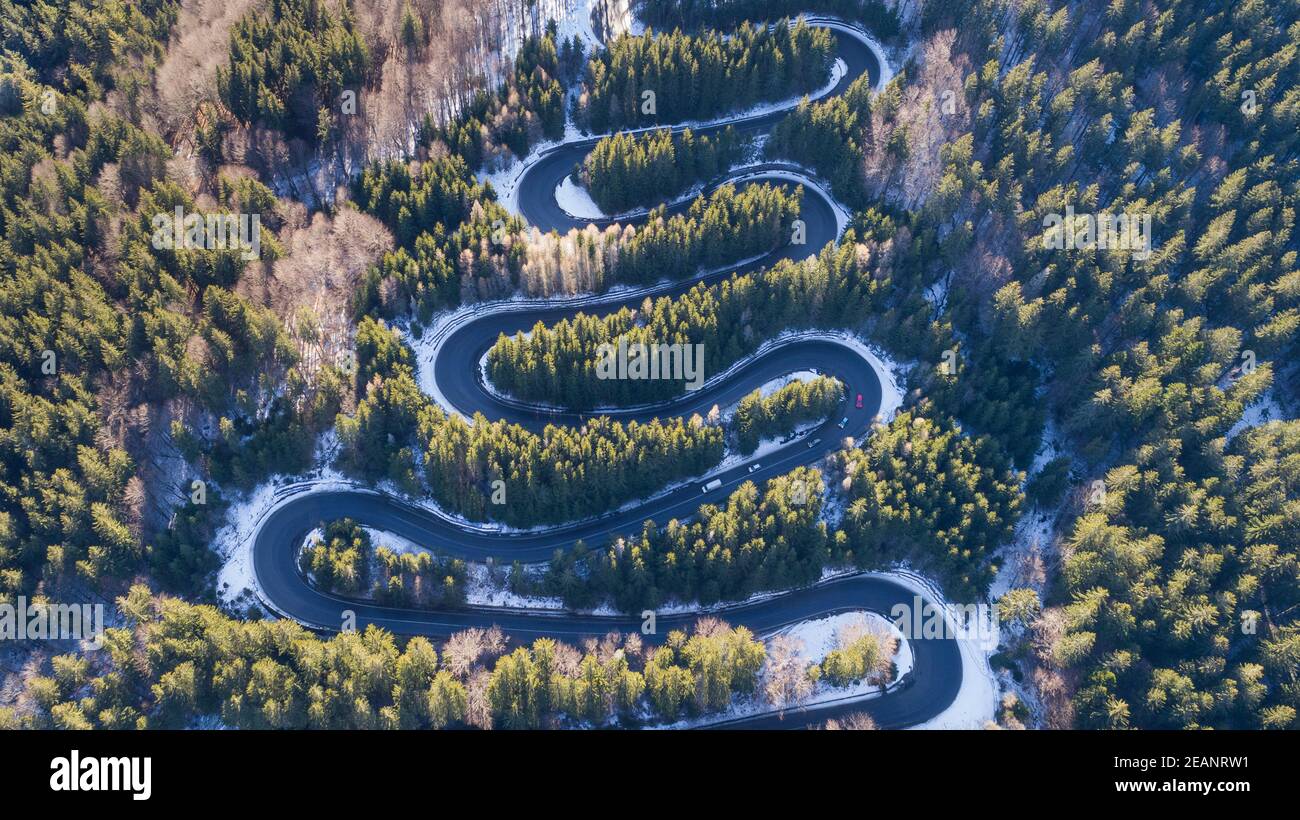 curved road trough the forest Stock Photo - Alamy