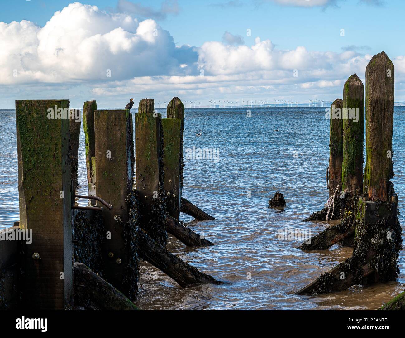 View to Scotland Stock Photo - Alamy