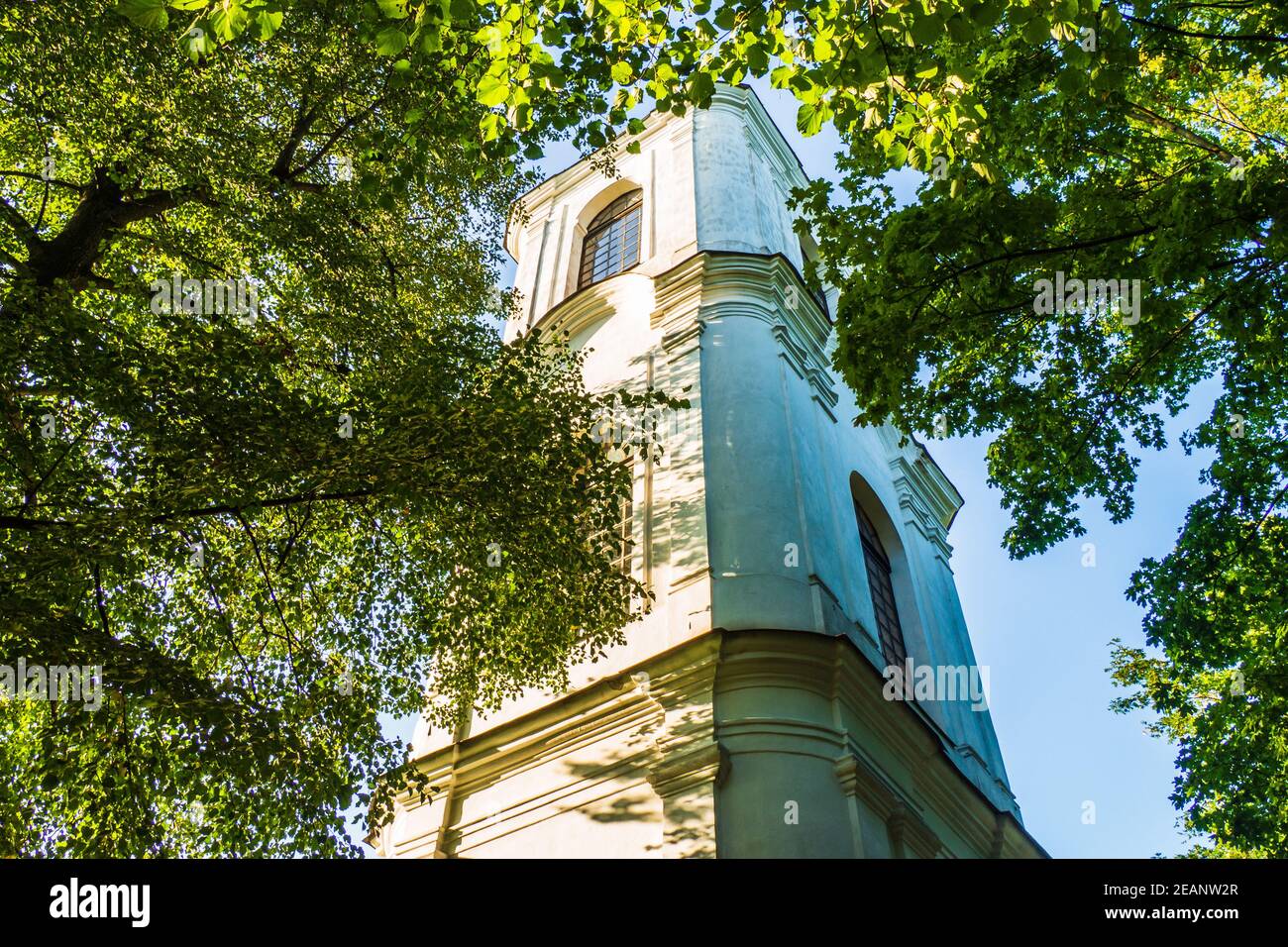 Tower in the Forest Among Birch Trees With Sunlight Stock Photo - Alamy