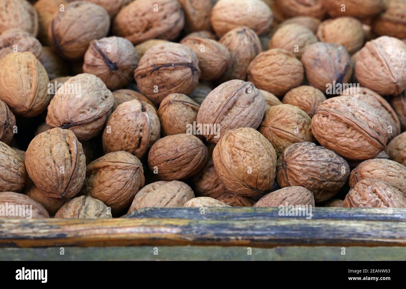 Walnuts whole hi-res stock photography and images - Alamy