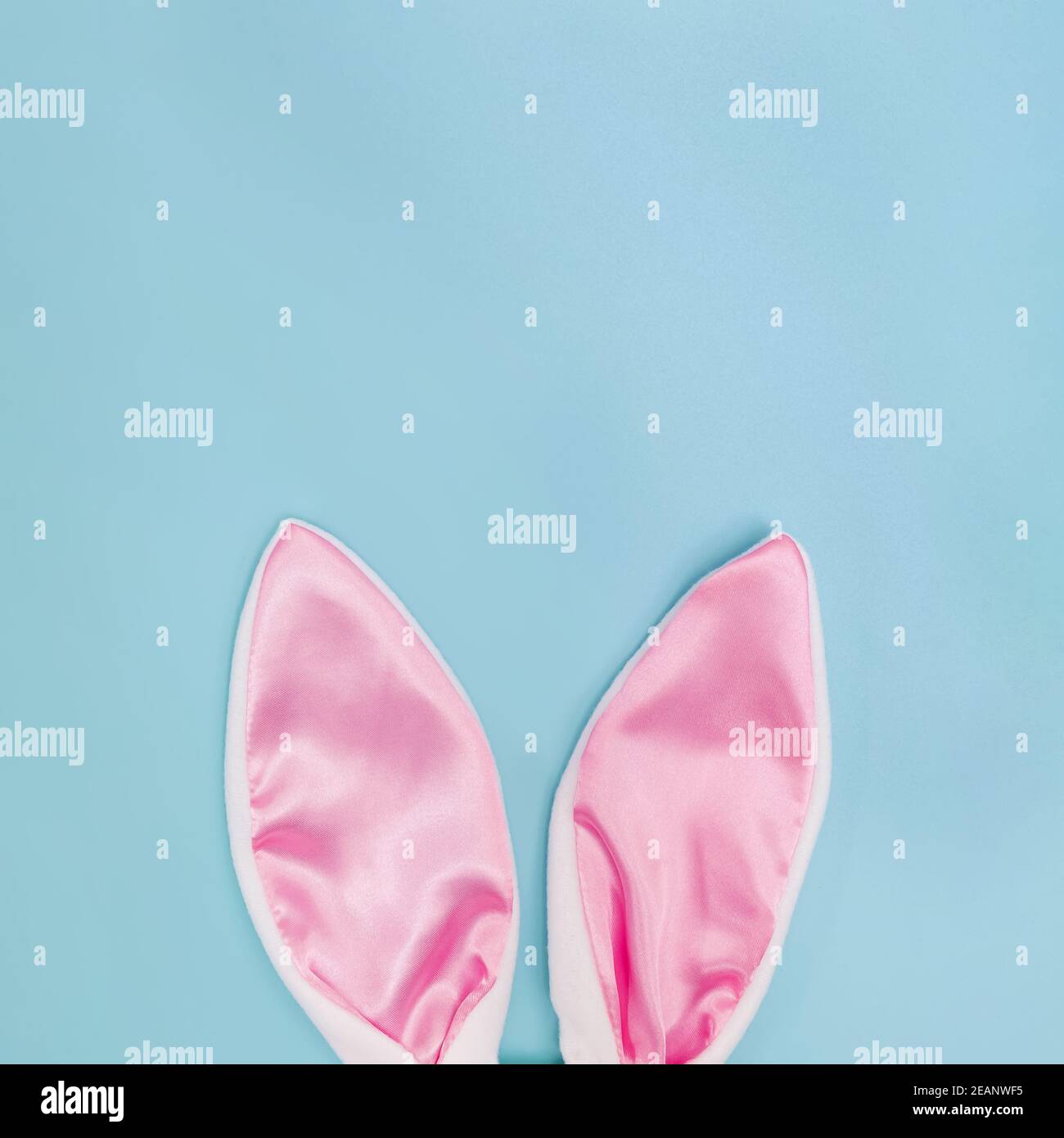 Decorative pink bunny ears on blue background Stock Photo - Alamy