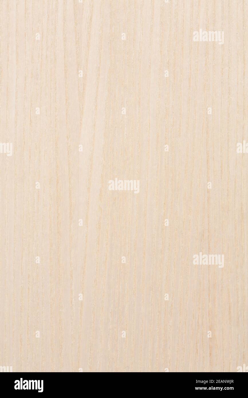 White wooden tree hi-res stock photography and images - Alamy