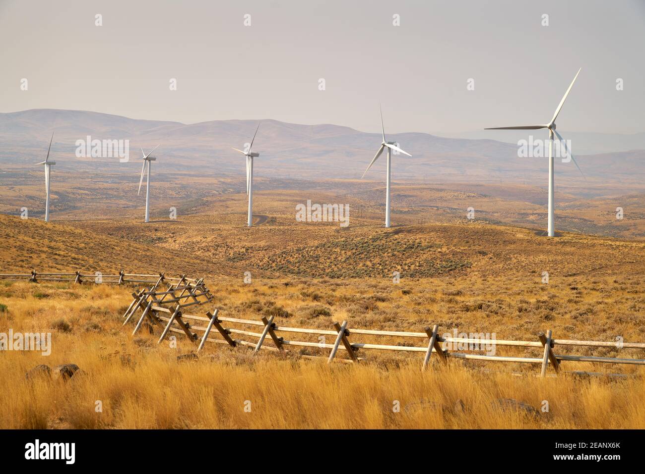 Windfarm Turbine Field. Wind turbines on an agricultural field behind a ...