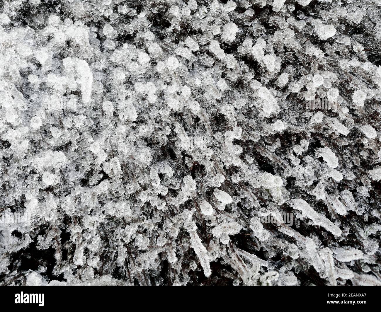 freezing rain close-up Stock Photo - Alamy
