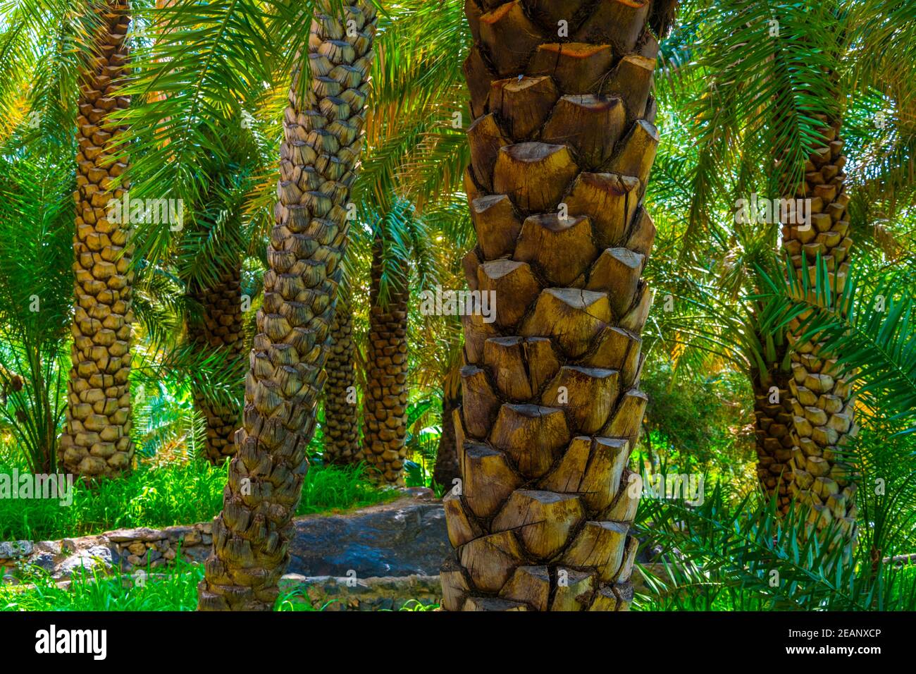 Nizwa falaj hi-res stock photography and images - Alamy