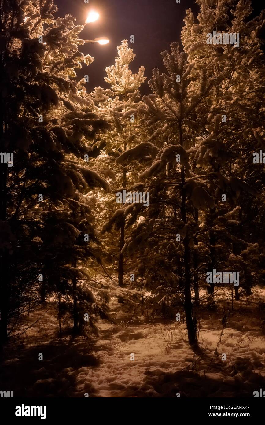 Artificial night lighting hi-res stock photography and images - Alamy