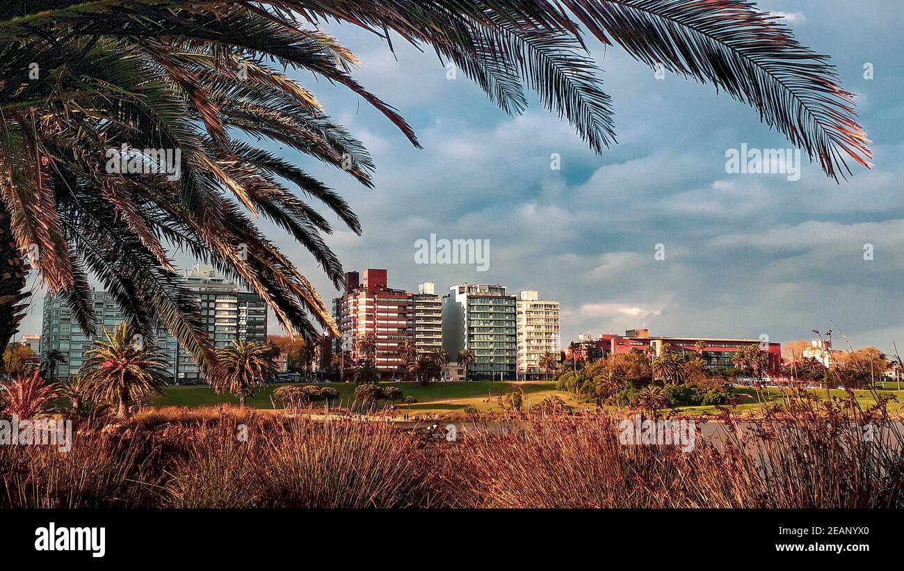 City and port of montevideo hi-res stock photography and images - Alamy