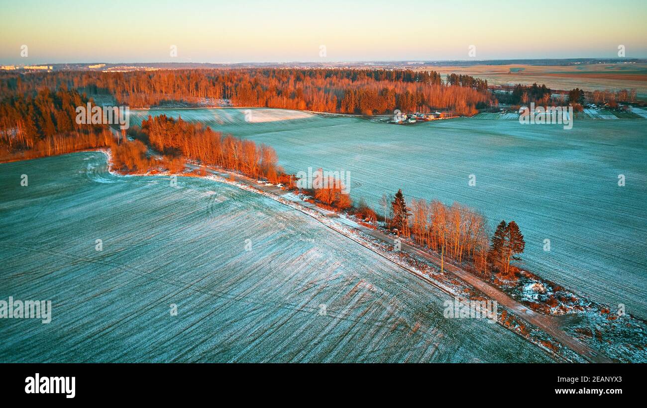 Colorful trees December sunset Aerial scene. Rural dirt road ...