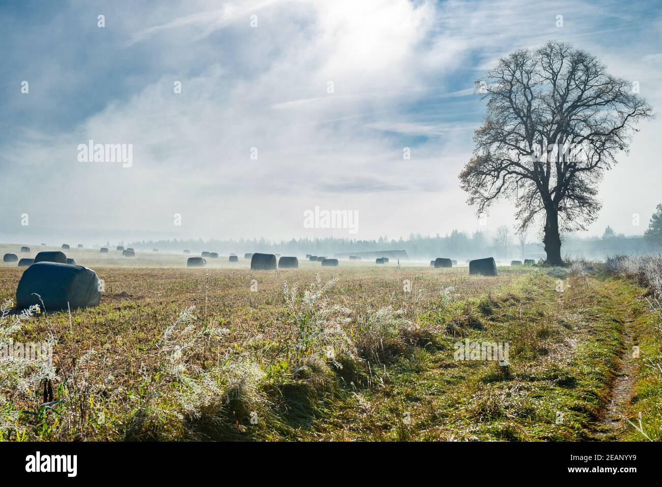 Fog rime hi-res stock photography and images - Alamy