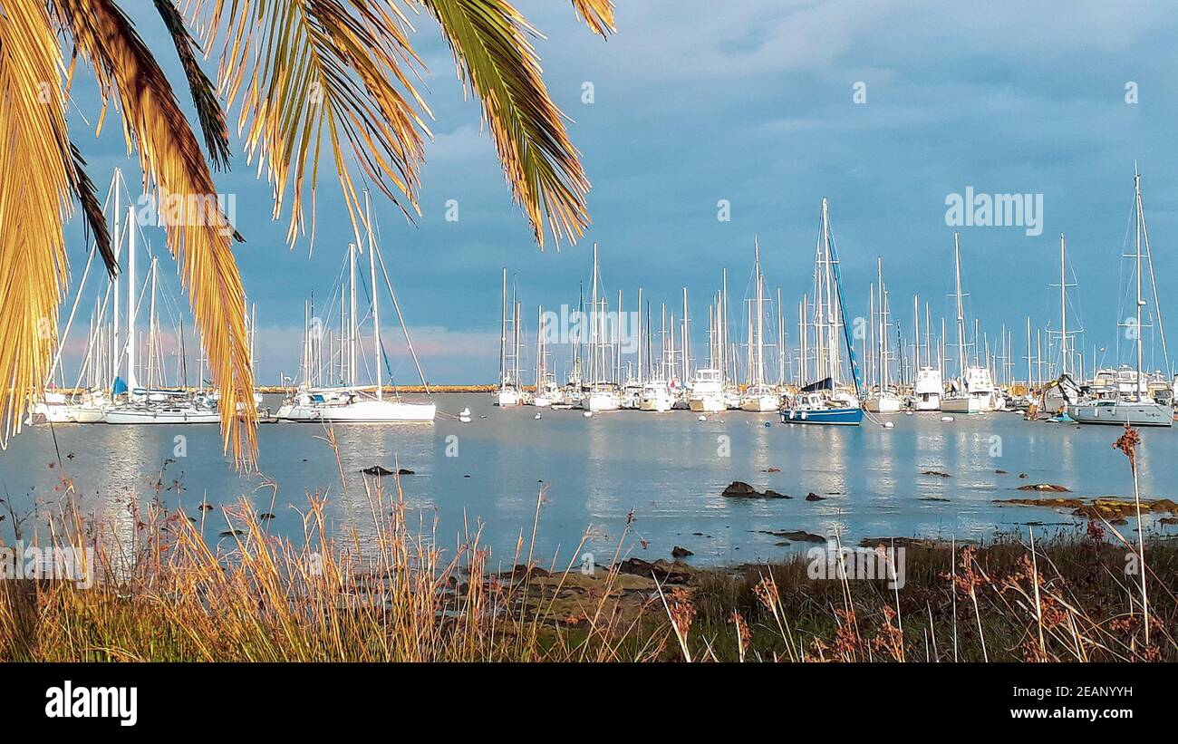 Buceo Port Panoramic Landscape, Montevideo, Uruguay Stock Photo - Alamy