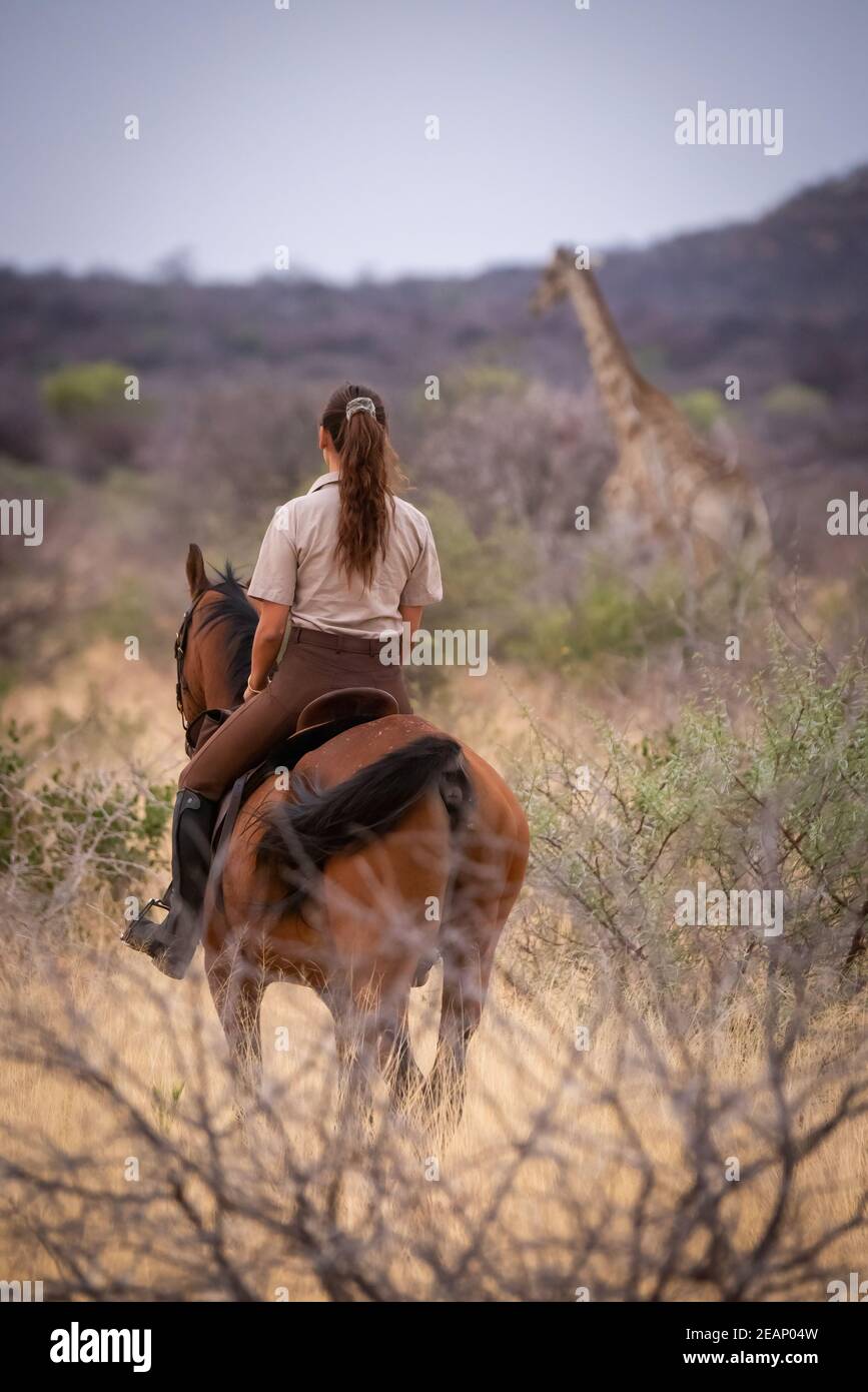 Horseback safari africa hi-res stock photography and images - Alamy