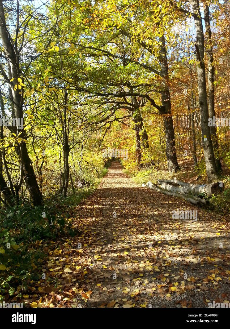 Walk promenade hi-res stock photography and images - Alamy
