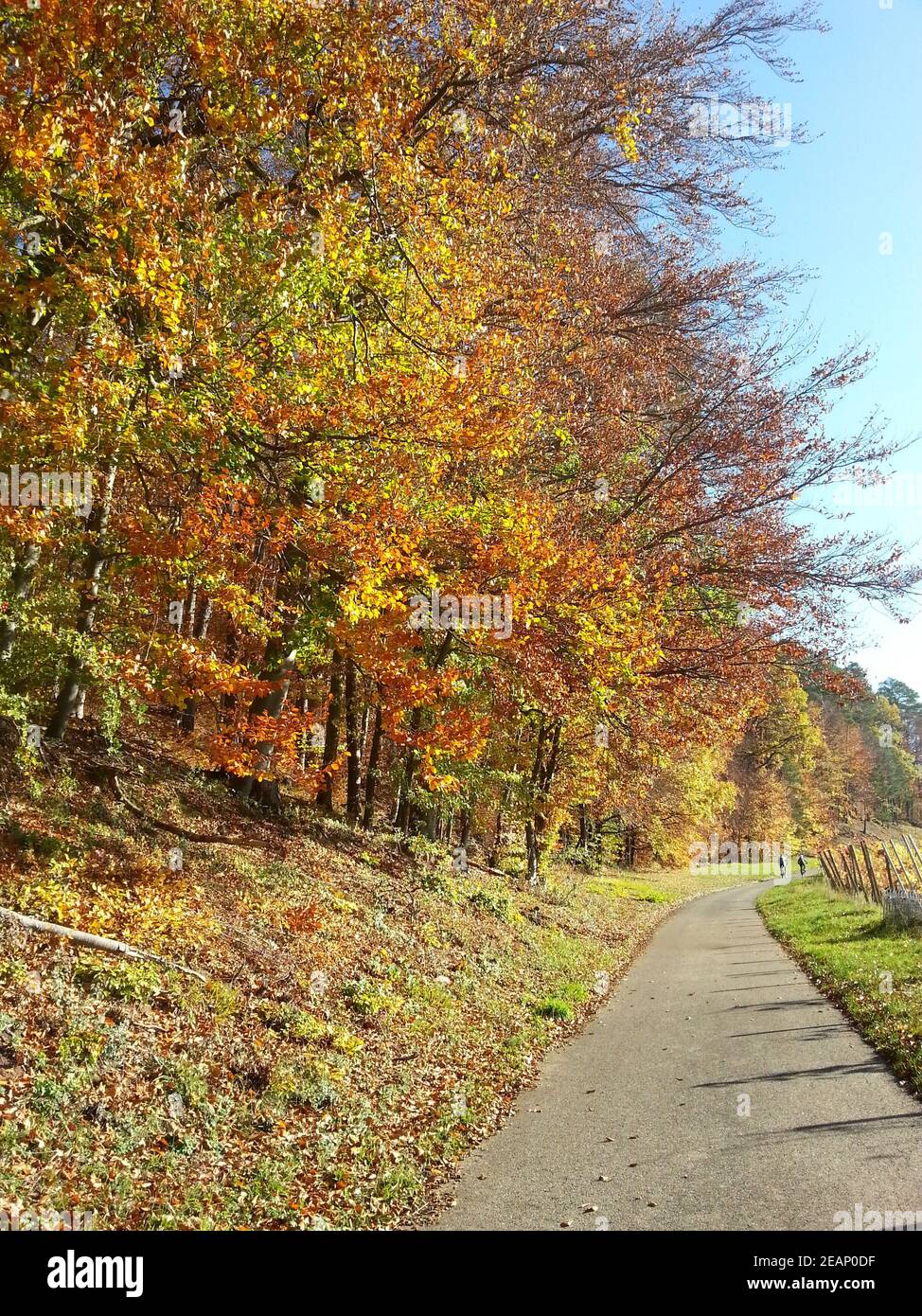Autumn walk hi-res stock photography and images - Alamy