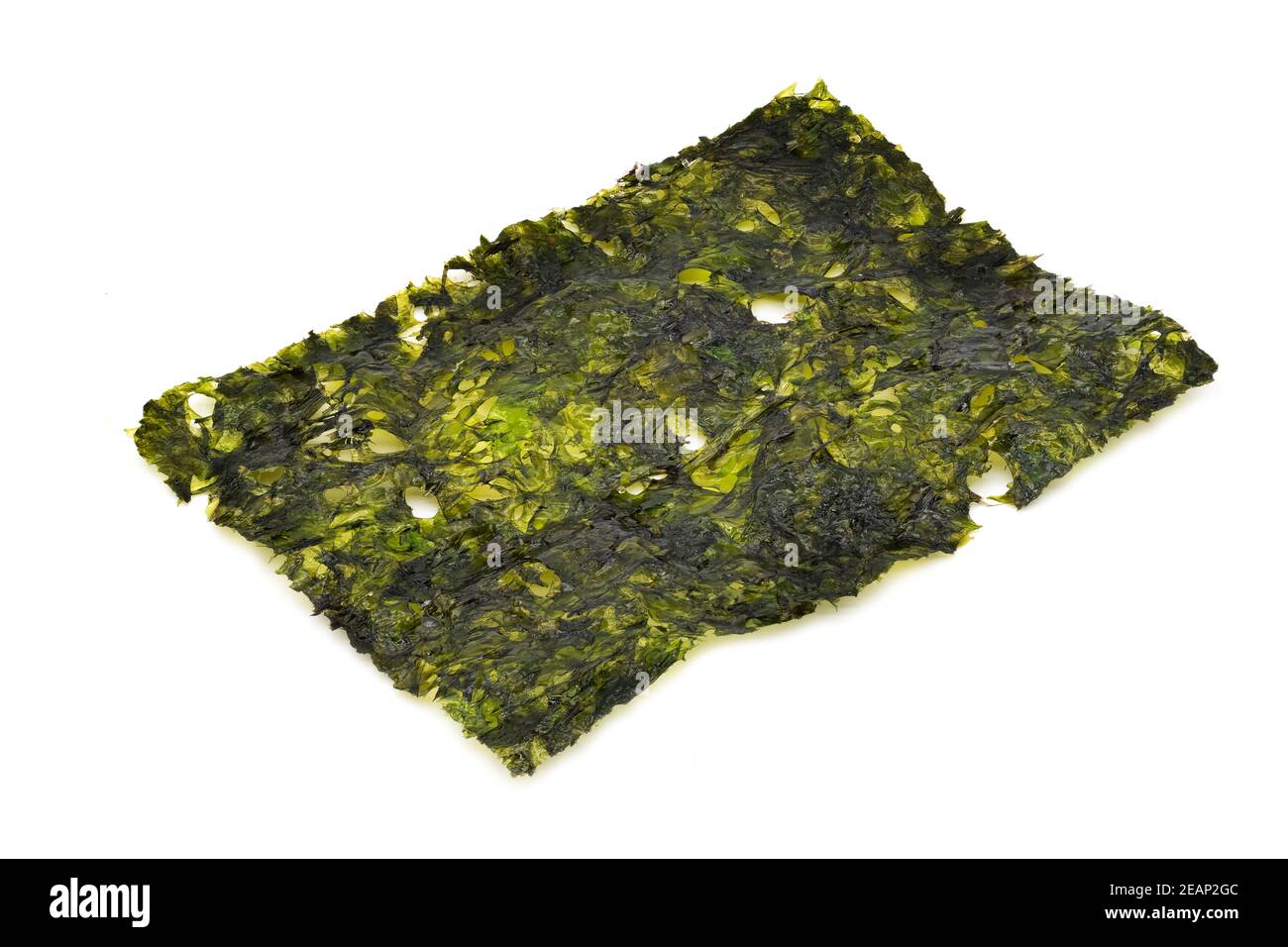 Algae culture hi-res stock photography and images - Alamy