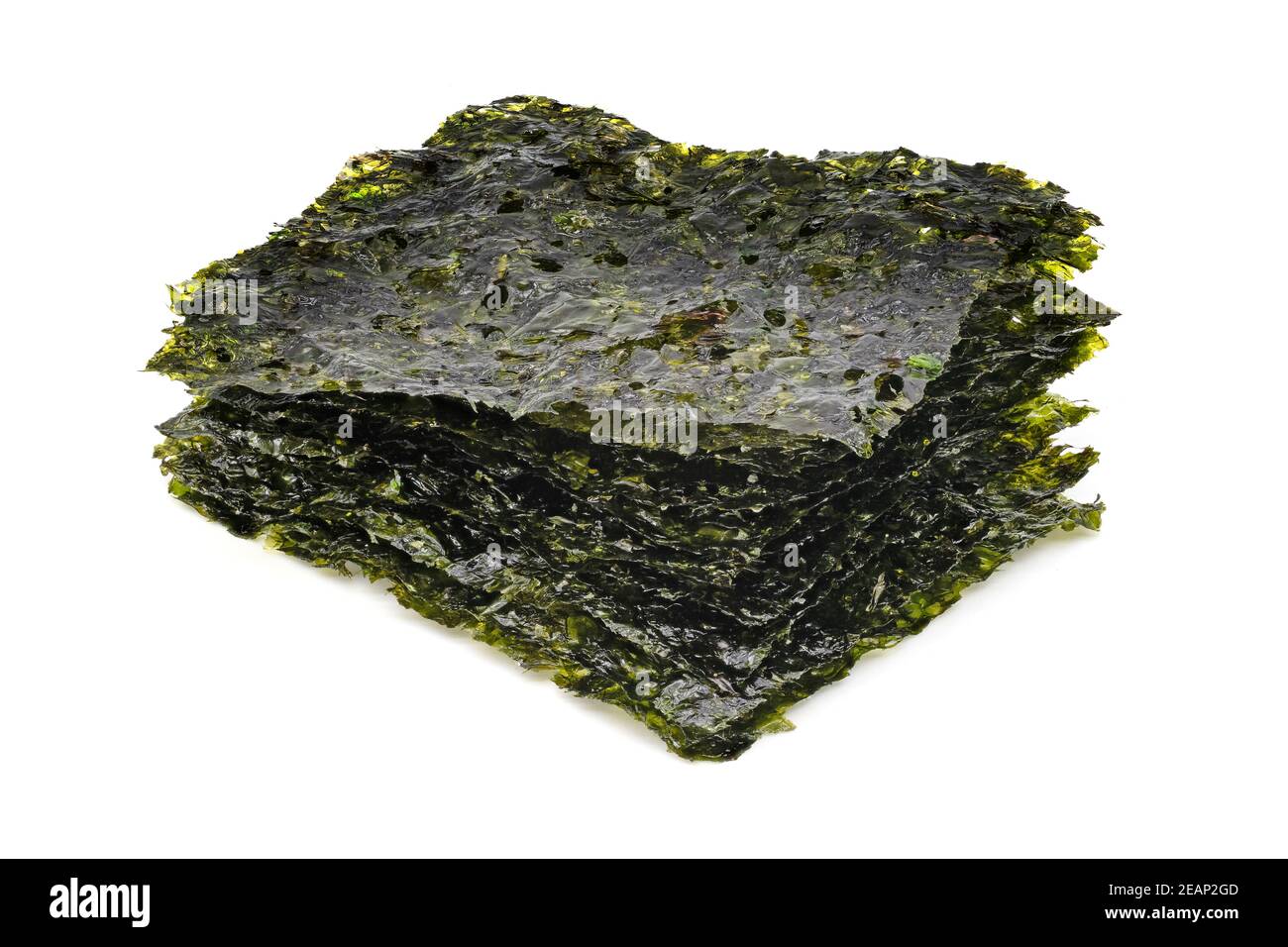 Algae culture hi-res stock photography and images - Alamy