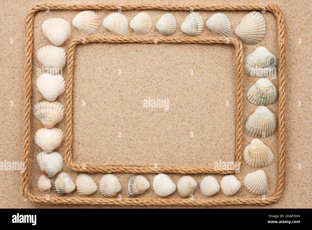 Beautiful frame with rope and sea shells on sand Stock Photo - Alamy