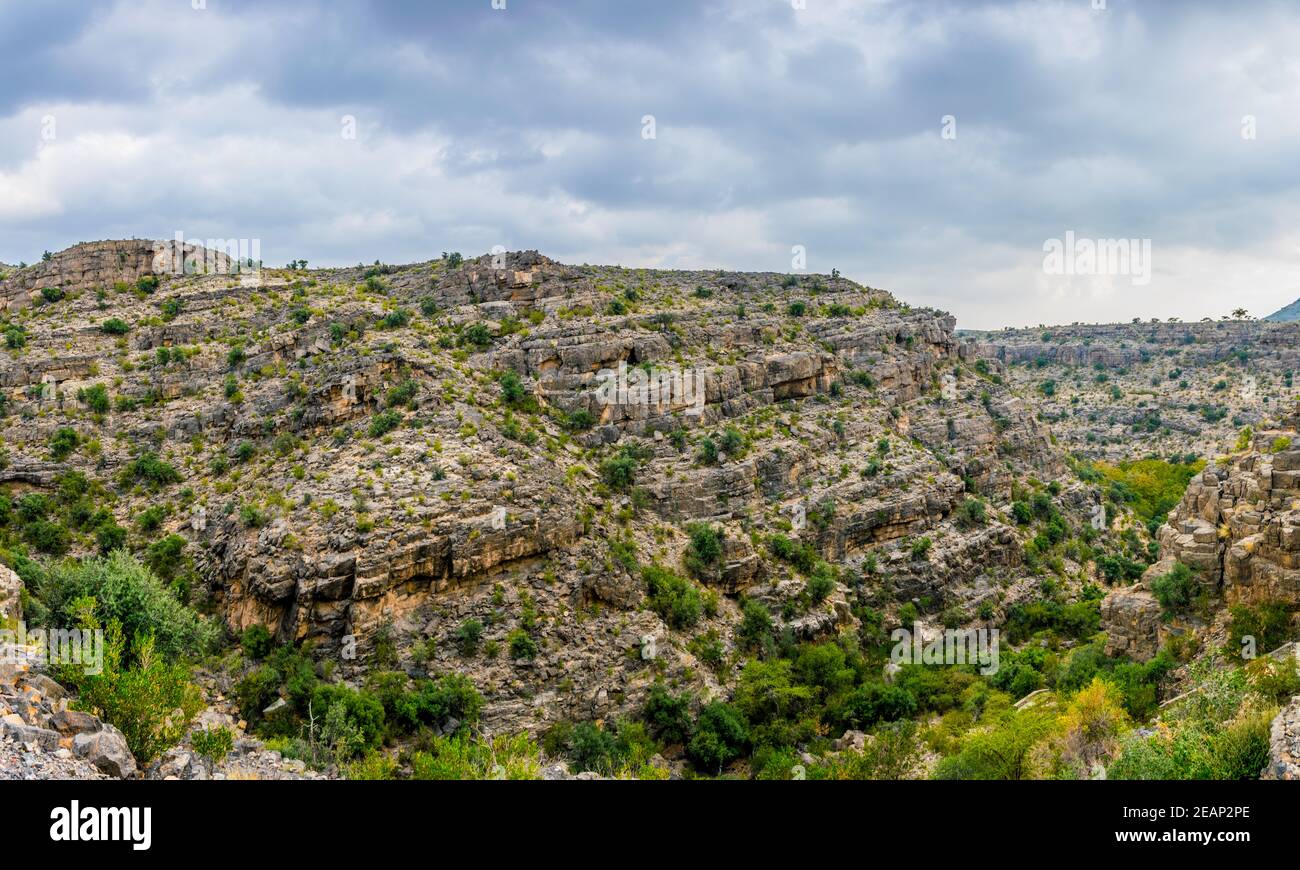 View of Wadi Bani Habib at the Jebel Akhdar mountain in Oman Stock ...