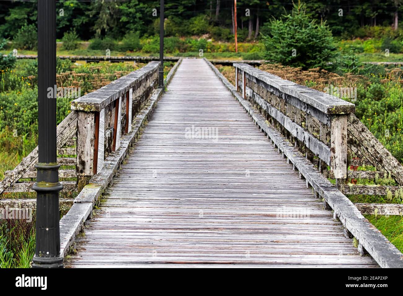 Raised boardwalk hi-res stock photography and images - Alamy